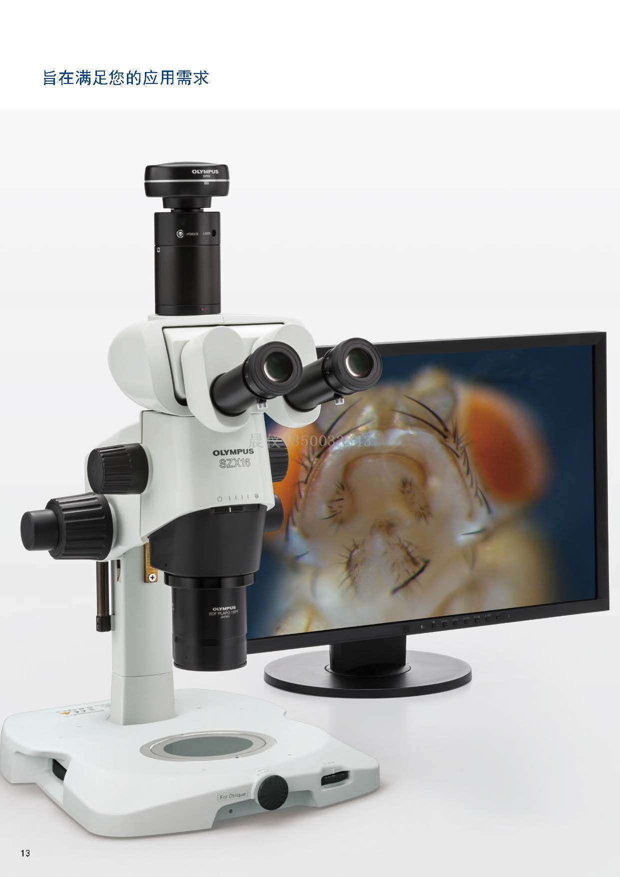 Olympus/奥林巴斯SZX10 SZX16研究级体视显微镜 - 晨华仪器（北京）有限公司