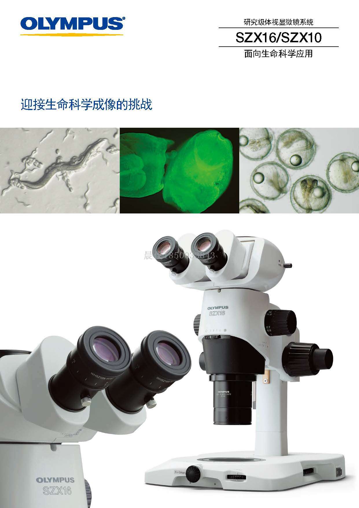 Olympus/奥林巴斯SZX10 SZX16研究级体视显微镜 - 晨华仪器（北京）有限公司